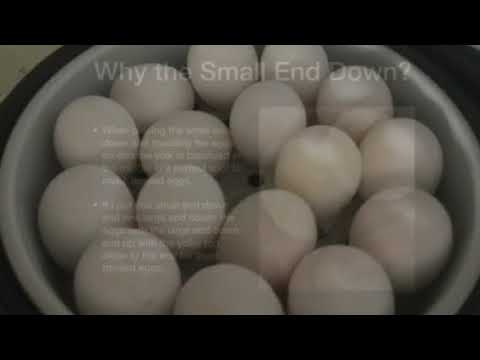 Rice Cooker Steamed Eggs - YouTube