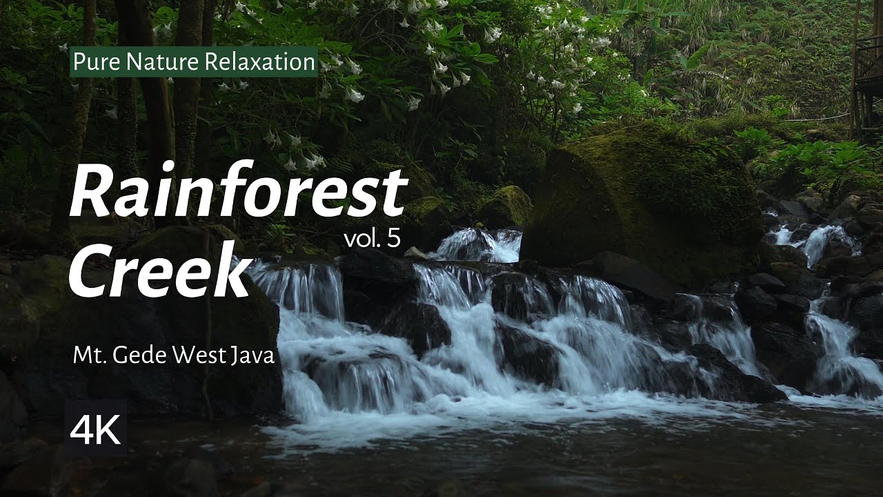 Nature Water Ambience | Stress Relief, Happiness & Inner Calm (8 Hours ...