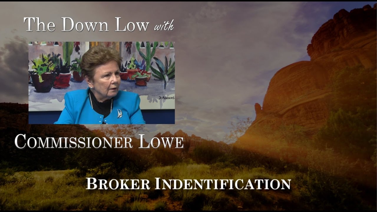 ADRE Commissioner Judy Lowe (2017) - Brokerage Identification - YouTube