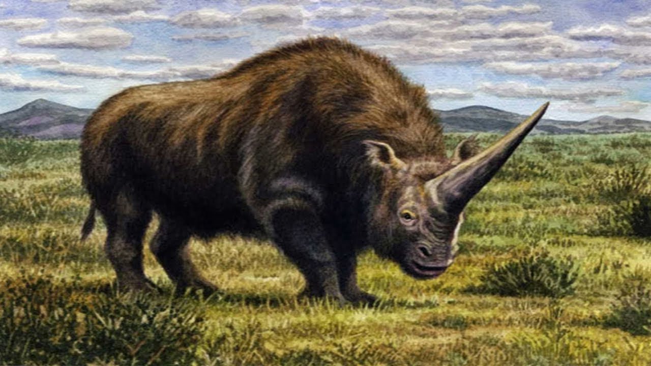 Elasmotherium Prehistoric Mammoth Sized Rhinoceros "Siberian Unicorn ...