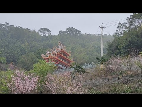 LIVE IN TAIPING TEMPLE WITH BEAUTIFUL VIEWS - YouTube