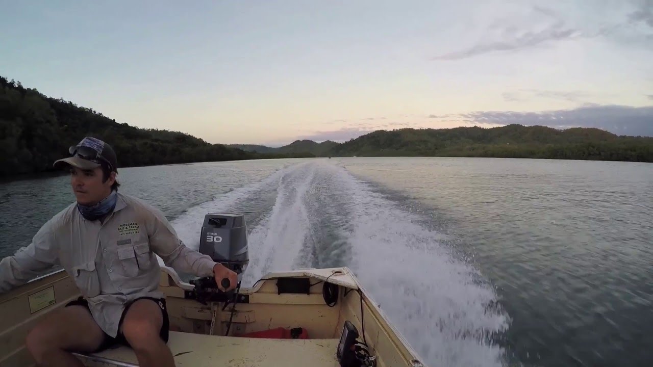 One Days Fishing in FNQ!! - YouTube