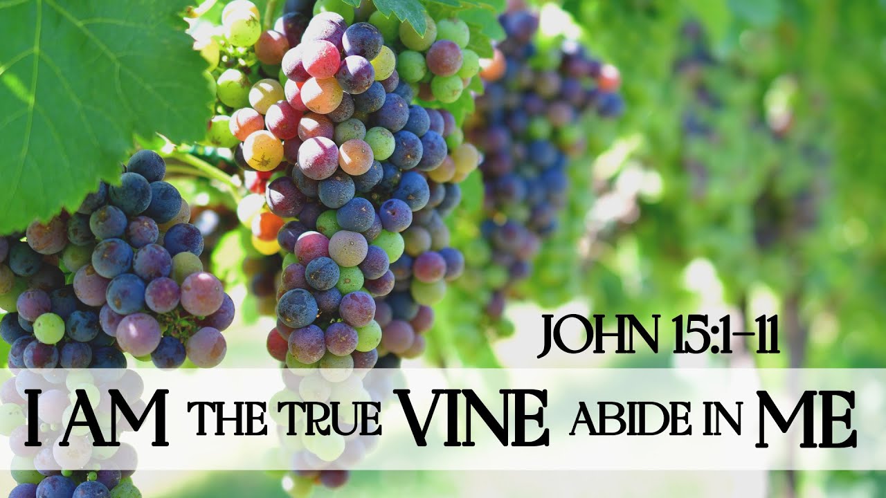 I Am The True Vine; Abide In Me - YouTube