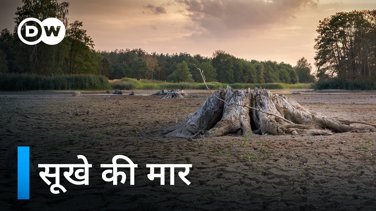 हम सूखते खेतों को कैसे बचा सकते हैं? [Drought crisis in agriculture ...