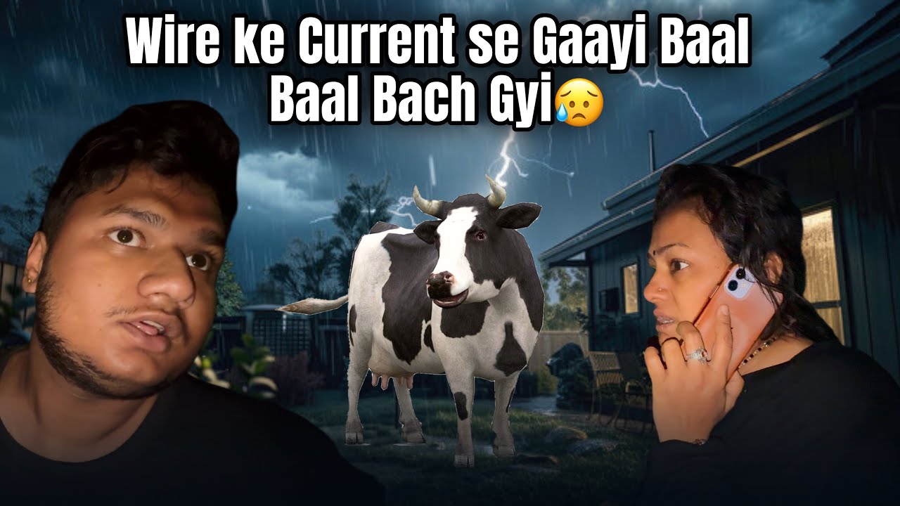 Ghar Ke Bahar Current Se Gaayi ki Jaan Jaane wali thi😥 - YouTube