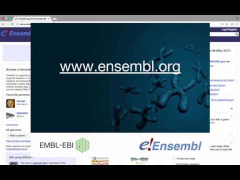 Ensembl Genome Browser - YouTube