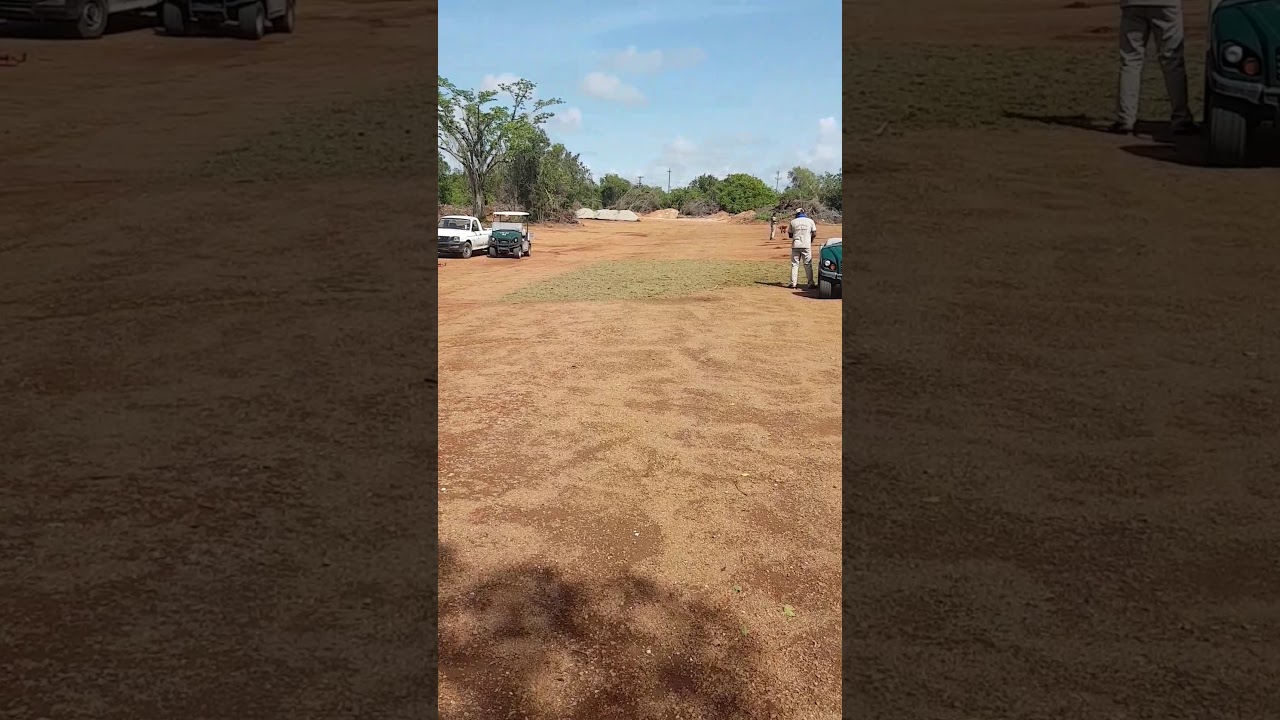 Planting the soccer field with Bermuda sprigs - YouTube