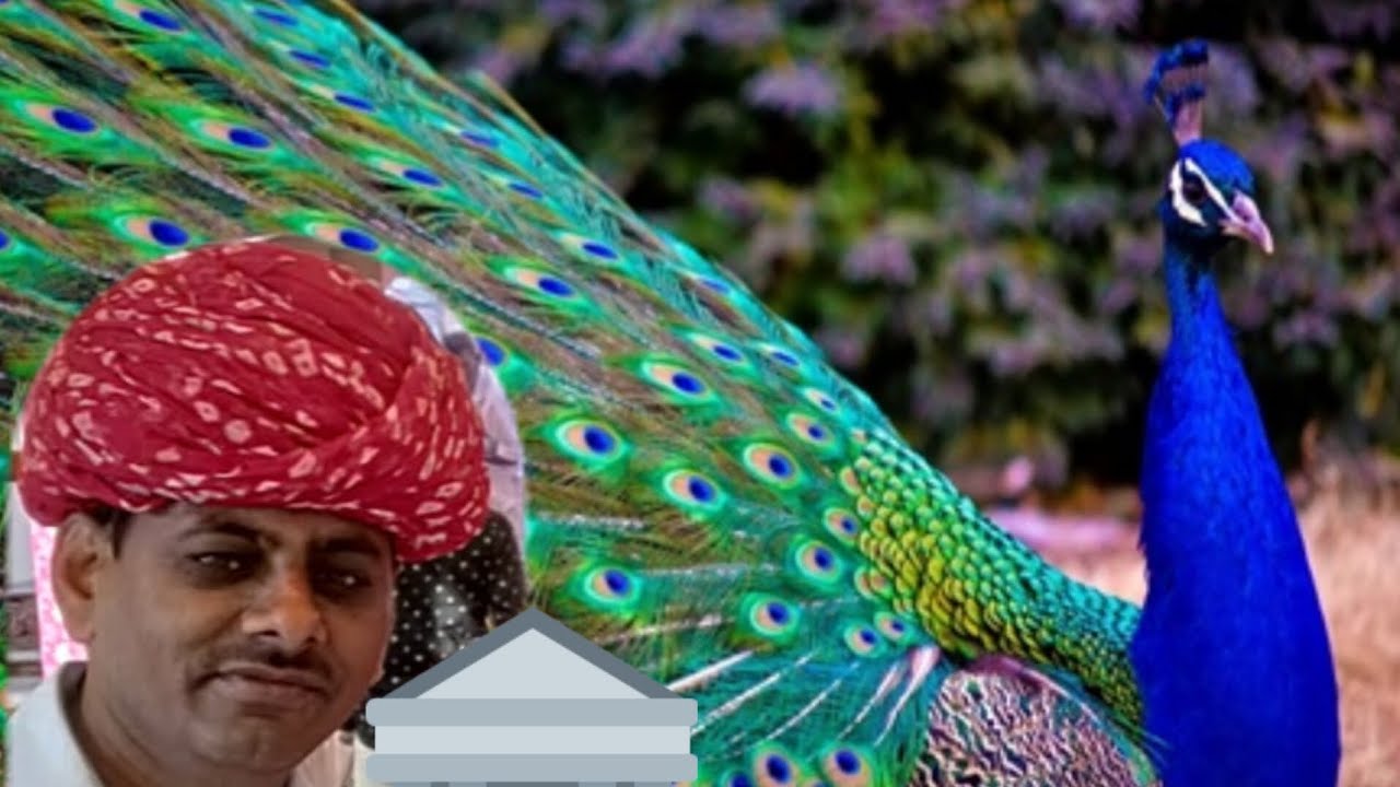 देशी भजन गायक बगदारामजी & केवलरामजी पवार बेरा बावलिया गांव कंटालिया ...