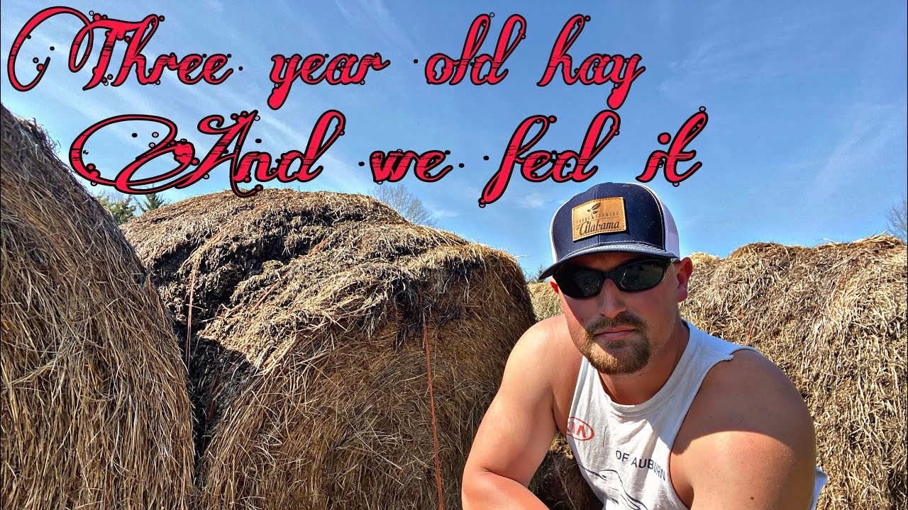 Why are we feeding crap hay? - YouTube