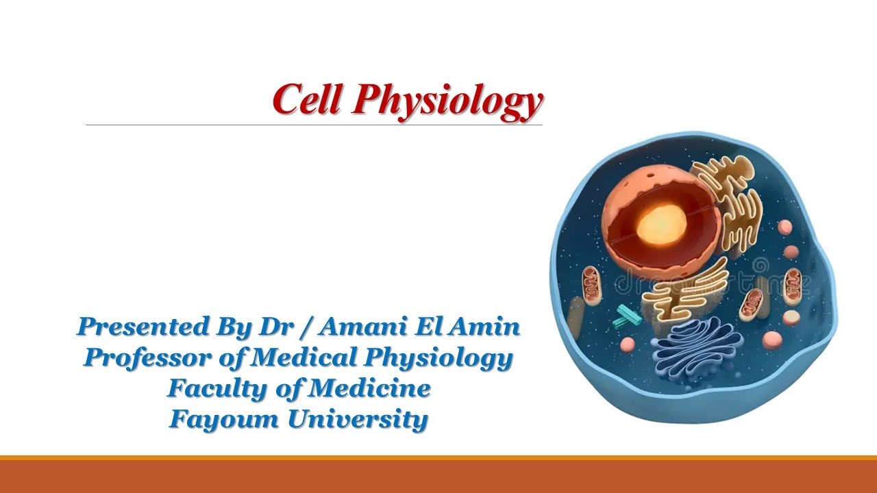 Physiology of normal structure module - YouTube