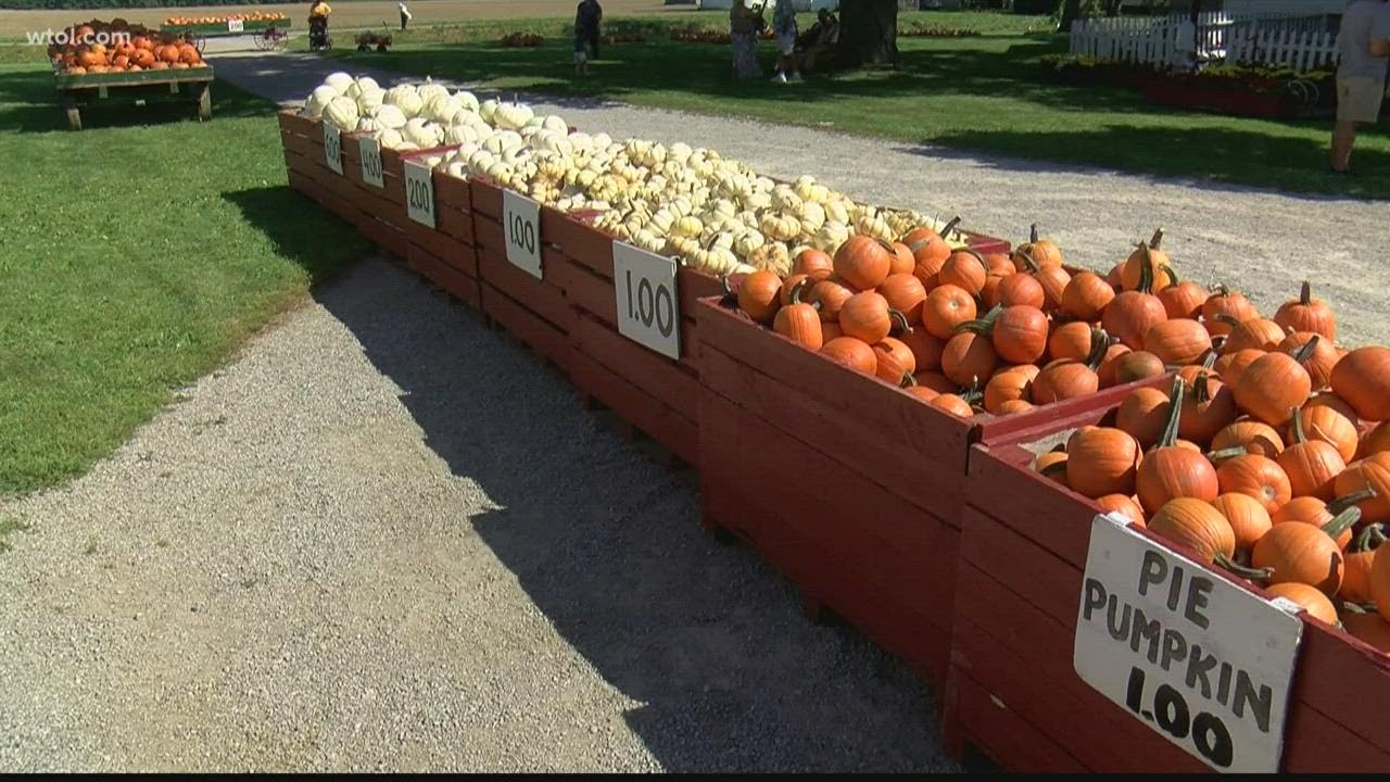 Gust Brother's Pumpkin Farm in Ottawa Lake, Michigan has officially ...
