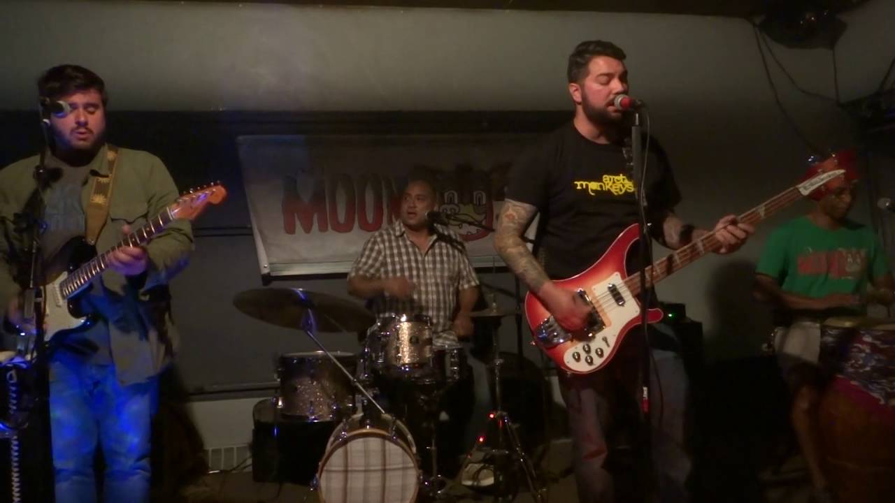 The Moondogs performing Comes a Time - YouTube