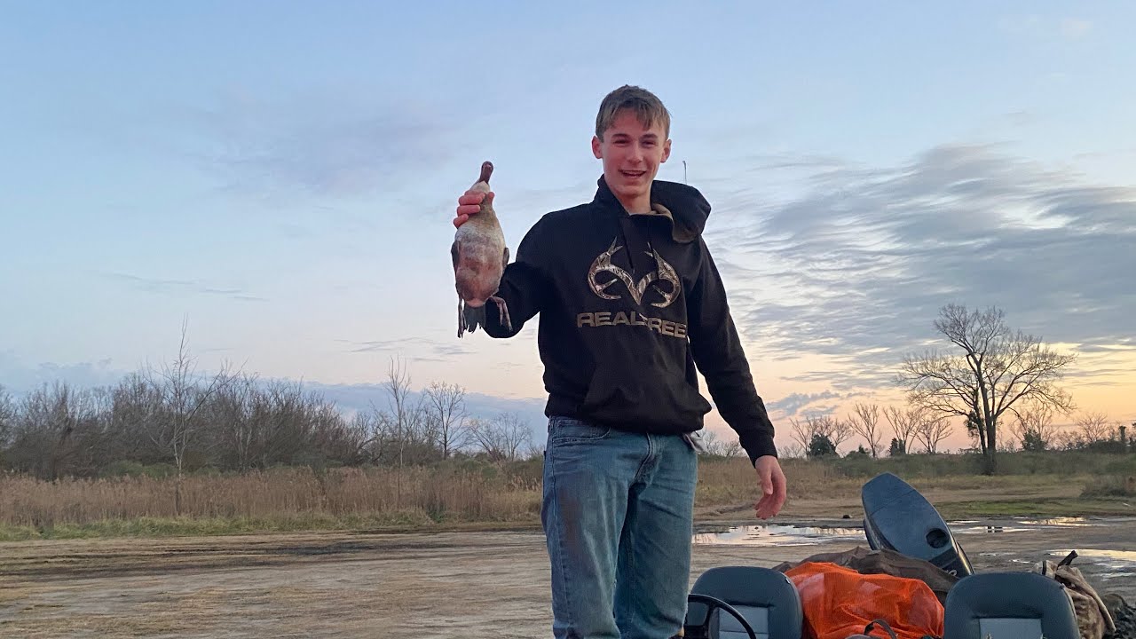 Rose bay NC duck hunting - YouTube