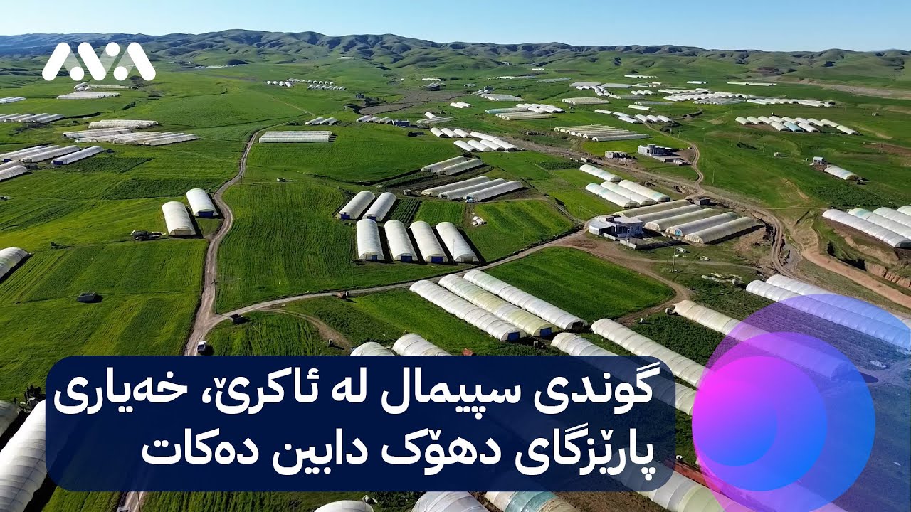 گوندی سپیمال لە ئاکرێ، خەیاری پارێزگای دهۆک دابین دەکات Youtube