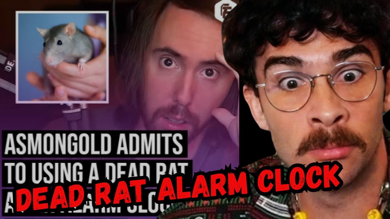 Hasanabi explains Asmongold lore w/ Frugal Aesthetic and Wisdom Kaye ...