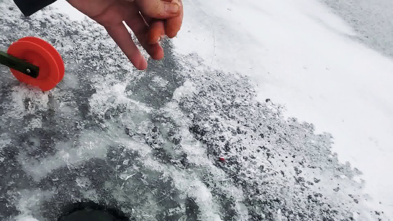 ice fishing Northern Michigan 2021 - YouTube
