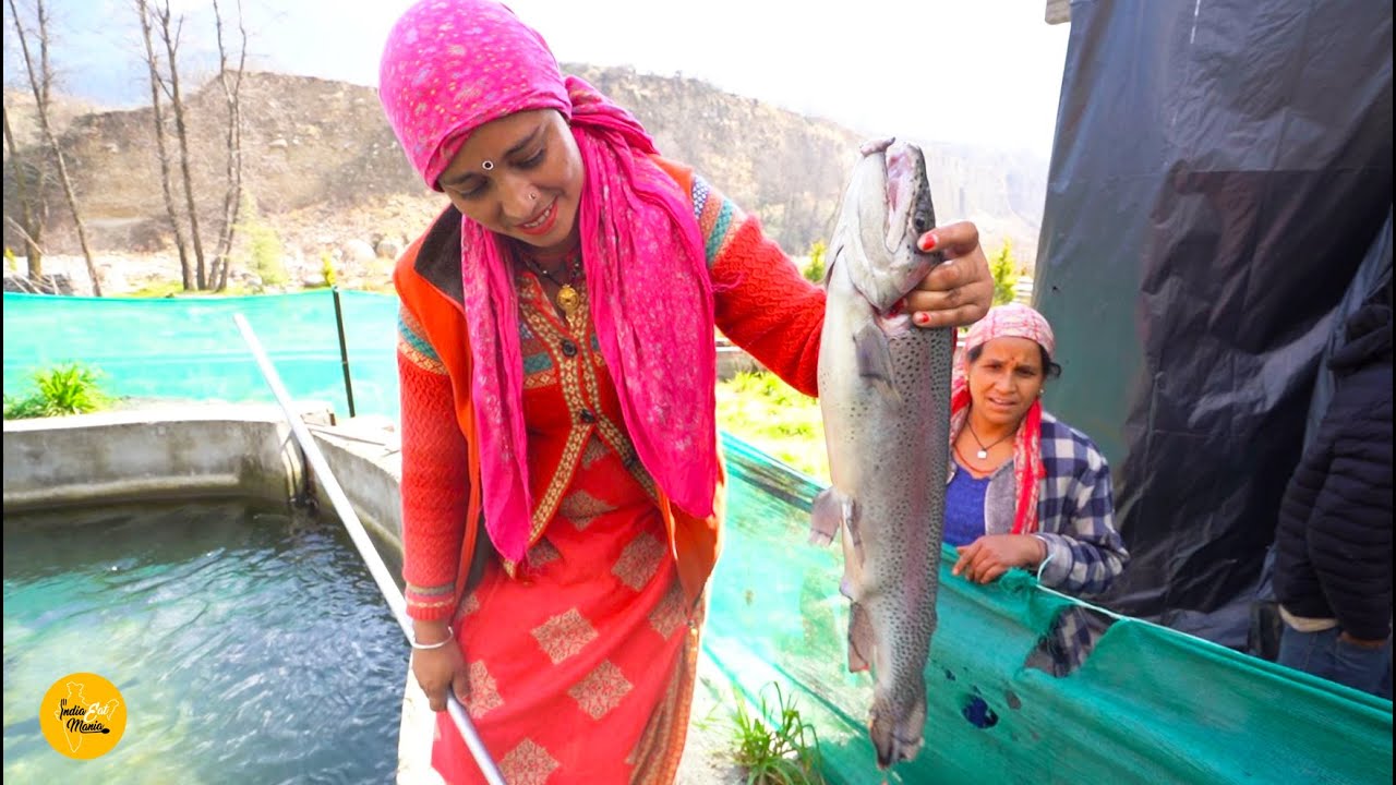 Himachal Famous Single Kanta Trout Fish Tawa Fry Making Rs. 400/- Only ...