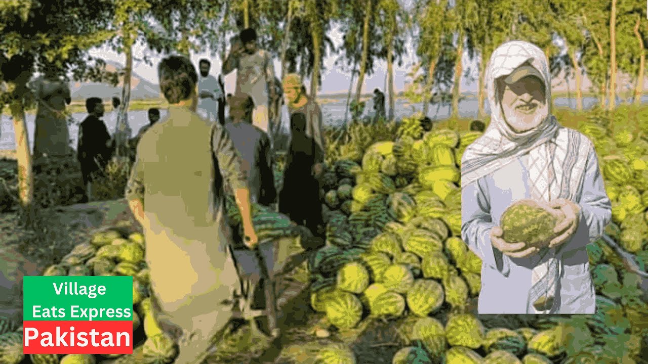 160 Tons Harvesting Watermelon In Ramdan | Watermelon Iftar Recipe In # ...