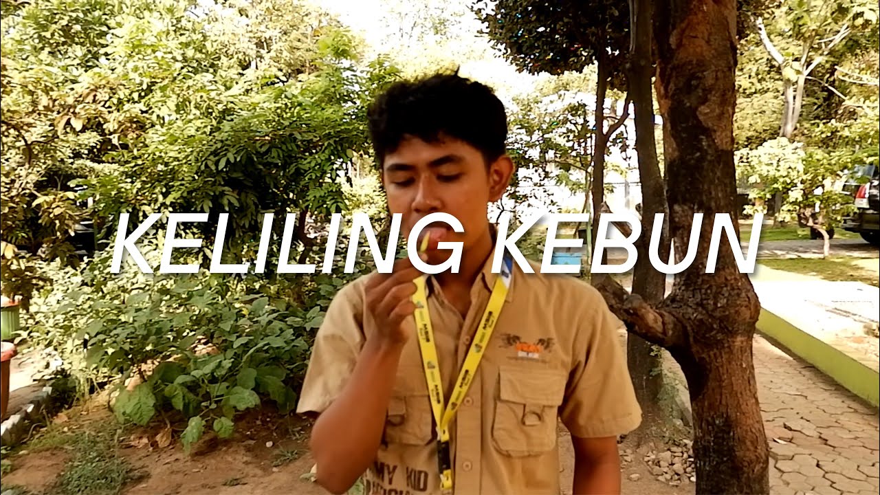 Bersama orang-orang normal - YouTube
