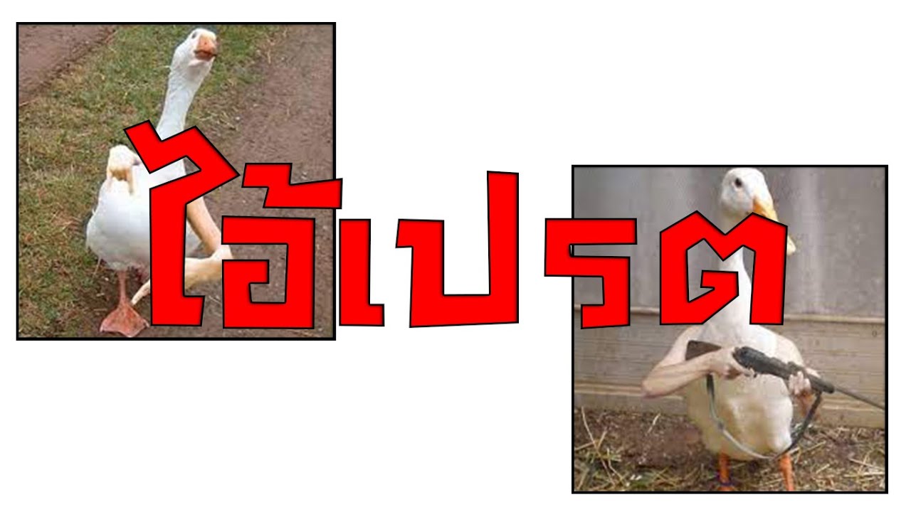ตั้งชื่อคลิปยังไงให้คนกดดู ? goose goose duck 1/2 - YouTube