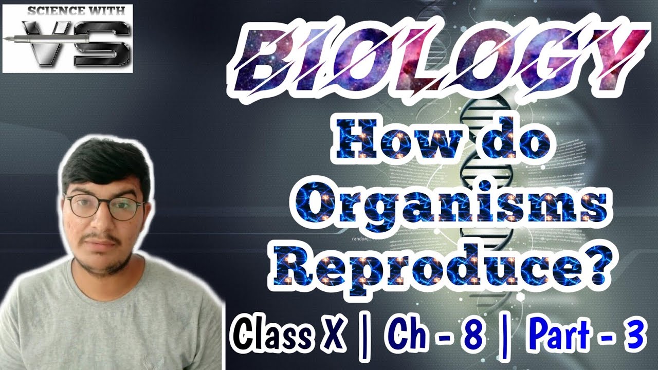 How do Organisms Reproduce? Sexual Reproduction in Humans | Class 10 ...