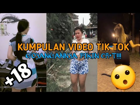 KUMPULAN TIK TOK HOT TERBARU || BIKIN NGILER #tiktokhot #pemersatubangsa #goyangviral #tiktok