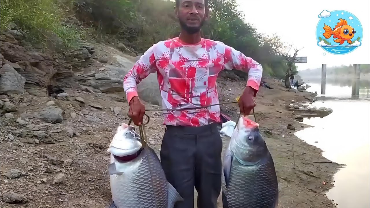 katla fishing | big fish | Fishing And Catching Fish,Fishing Videos Big ...