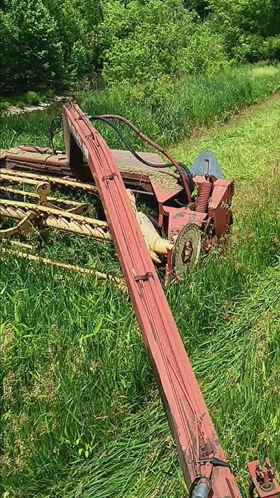 International 966 and New Holland 499 mowing hay - YouTube