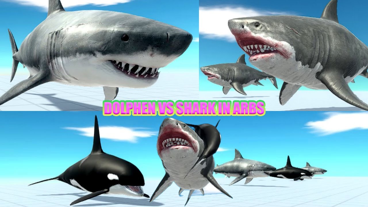 #ARBS - Dolphin Fish vs Shark Fish Epic Battle - YouTube