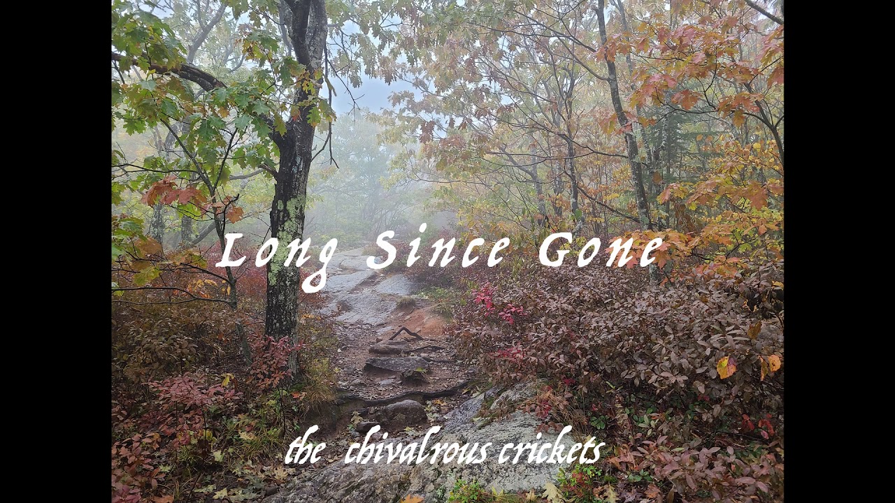Long Since Gone - Chivalrous Crickets - YouTube