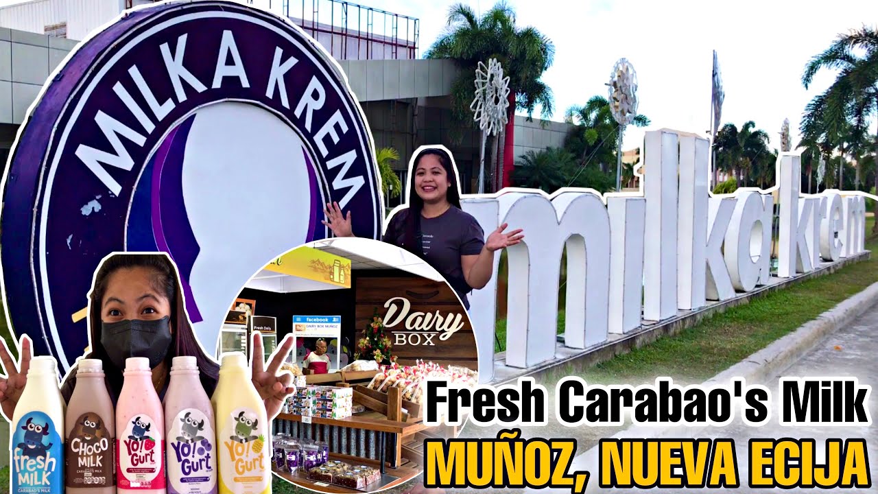 MILKA KREM, MUÑOZ, NUEVA ECIJA - YouTube