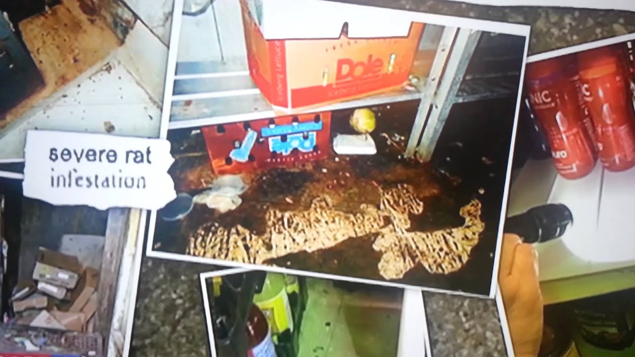 Rat infested Lena's Food Store - YouTube