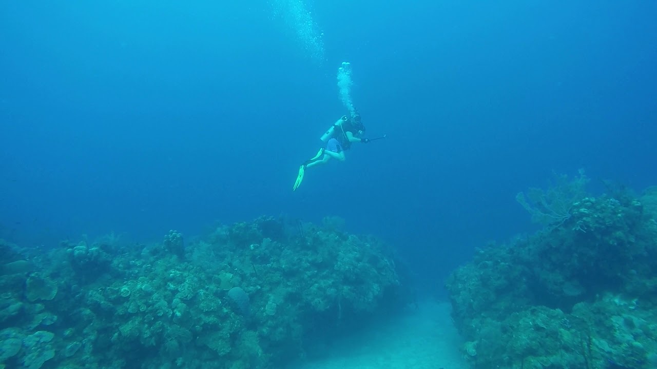 Diving at Cane Bay in St. Croix, USVI - YouTube