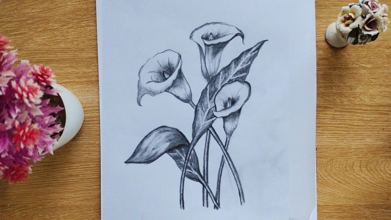 how to draw realistic flowers | step by step | for beginners | Drawing ...