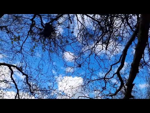 DORIE JACKSON - Fact And Truth (Official Music Video) - YouTube