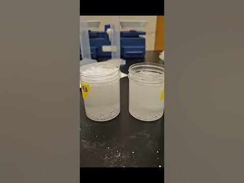 Rate of Reaction: Alka-Seltzer experiment - YouTube
