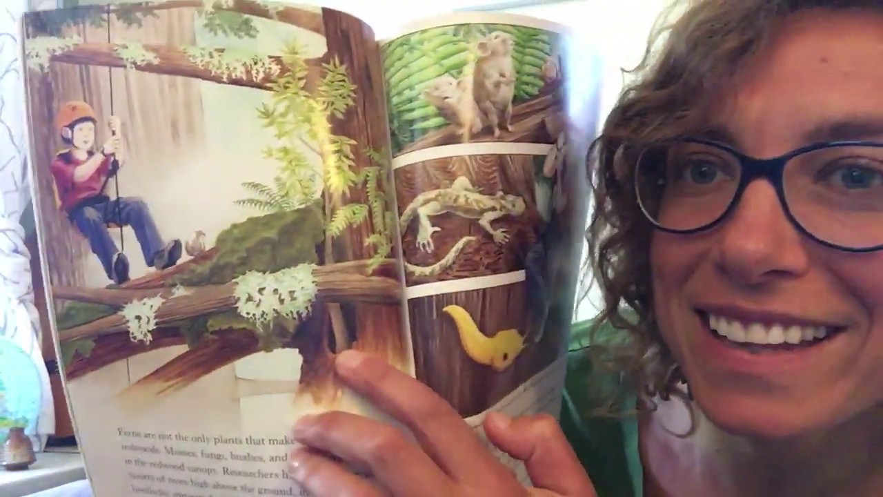 Redwoods by Jason Chin Part 2 - YouTube
