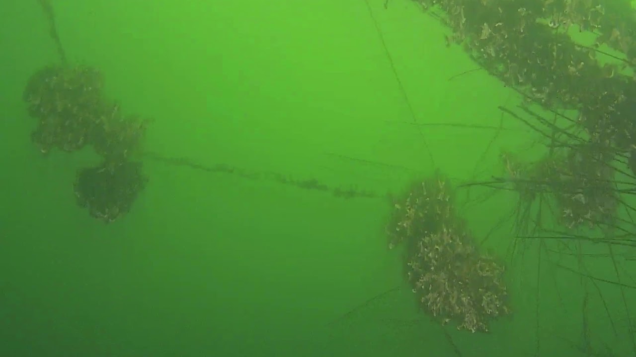 釧路ドローンスクール | 水中ドローン