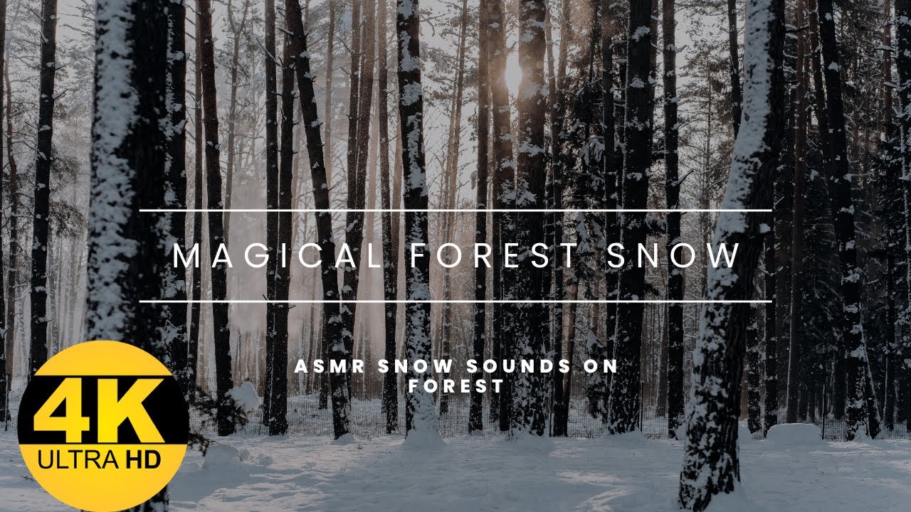 Magical Forest Snow:Asmr Snow Falling Sound For Deep Relaxation | No ...