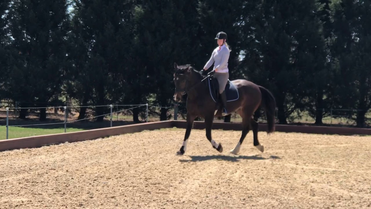 Dressage Lesson pt 2 - YouTube