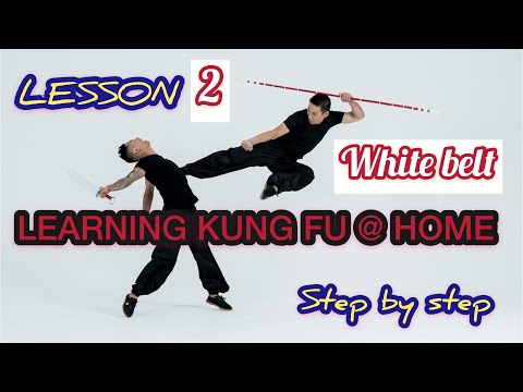learning kung fu at home / lesson 2 , step by step / 100% for beginners