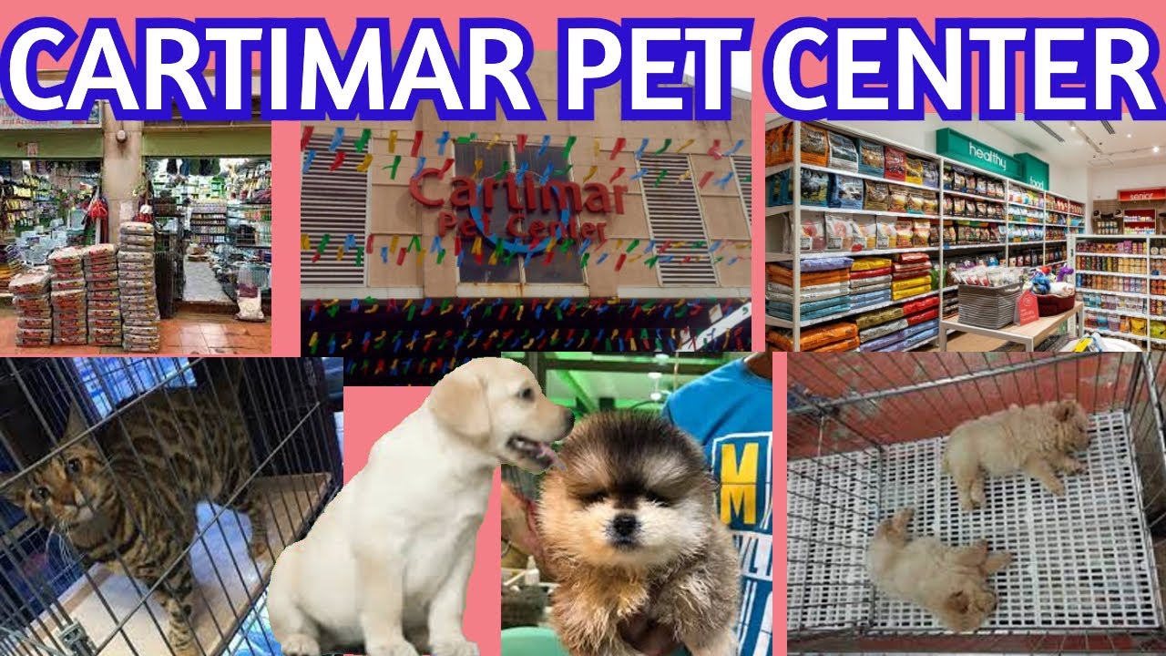 Cartimar Pet Center Tour (Petshops, and Pet Supplies) - YouTube