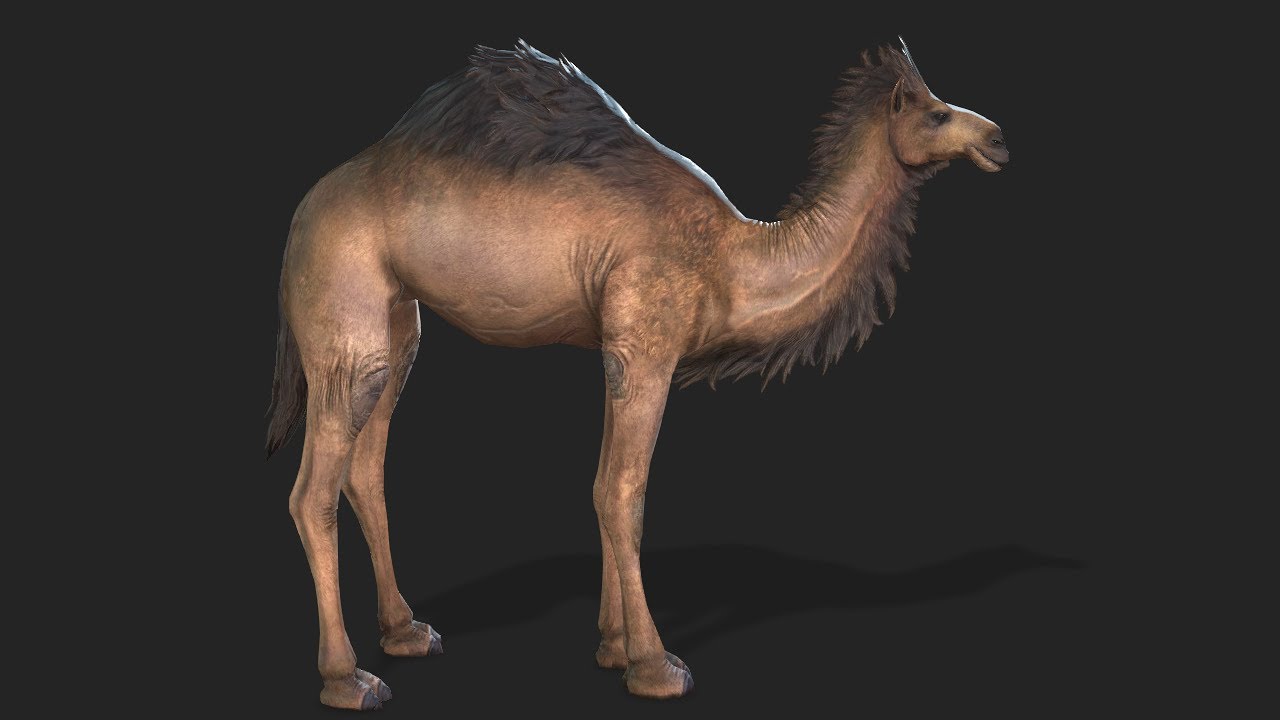 Camel - UNREAL ENGINE - YouTube