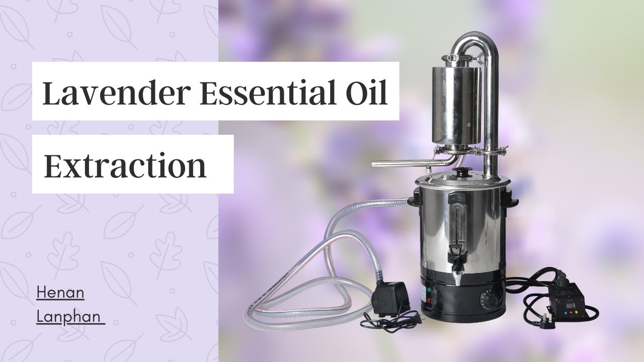 Household lavender essential oil distiller - YouTube