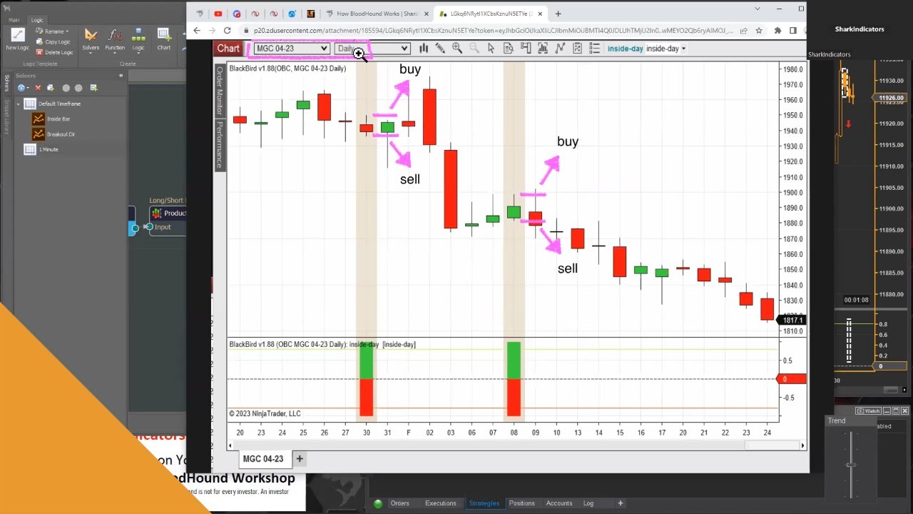 BloodHound - Daily Chart Inside Day Breakout Signal - YouTube