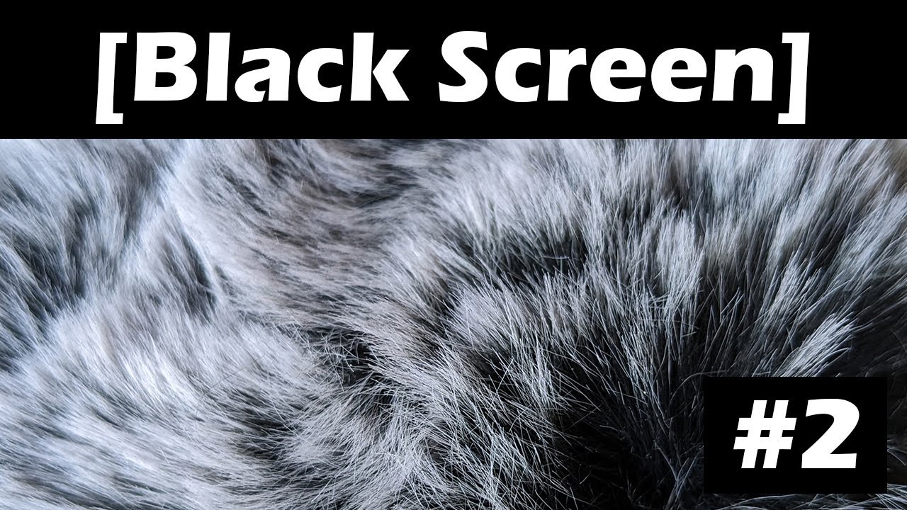 ASMR - Furry Windscreen Muff #2 [Black Screen] - YouTube