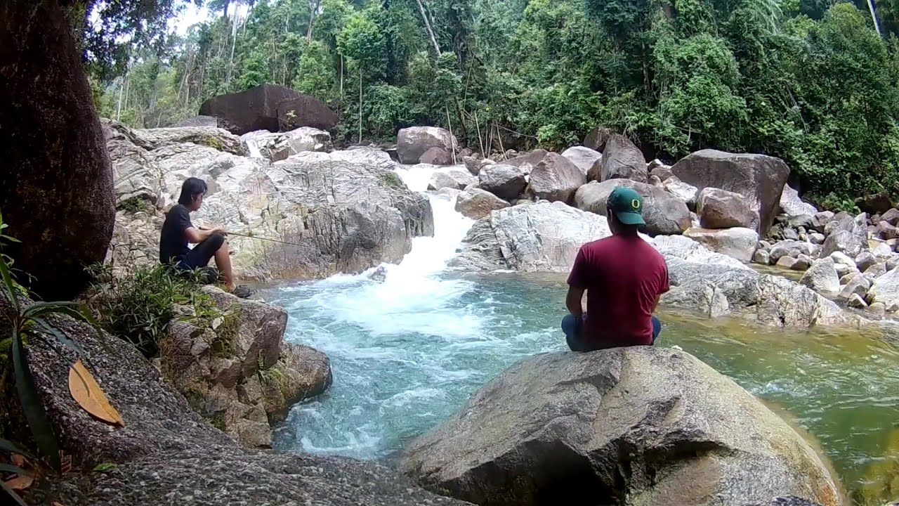Memancing Tengas Di Sungai Cantik Hulu Terengganu Youtube