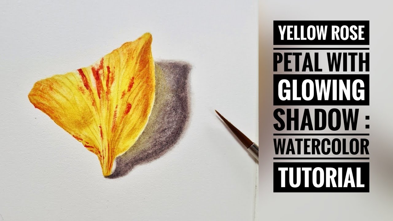 Tutorial: Yellow Rose Petal with Watercolors (with a glowing shadow) - YouTube