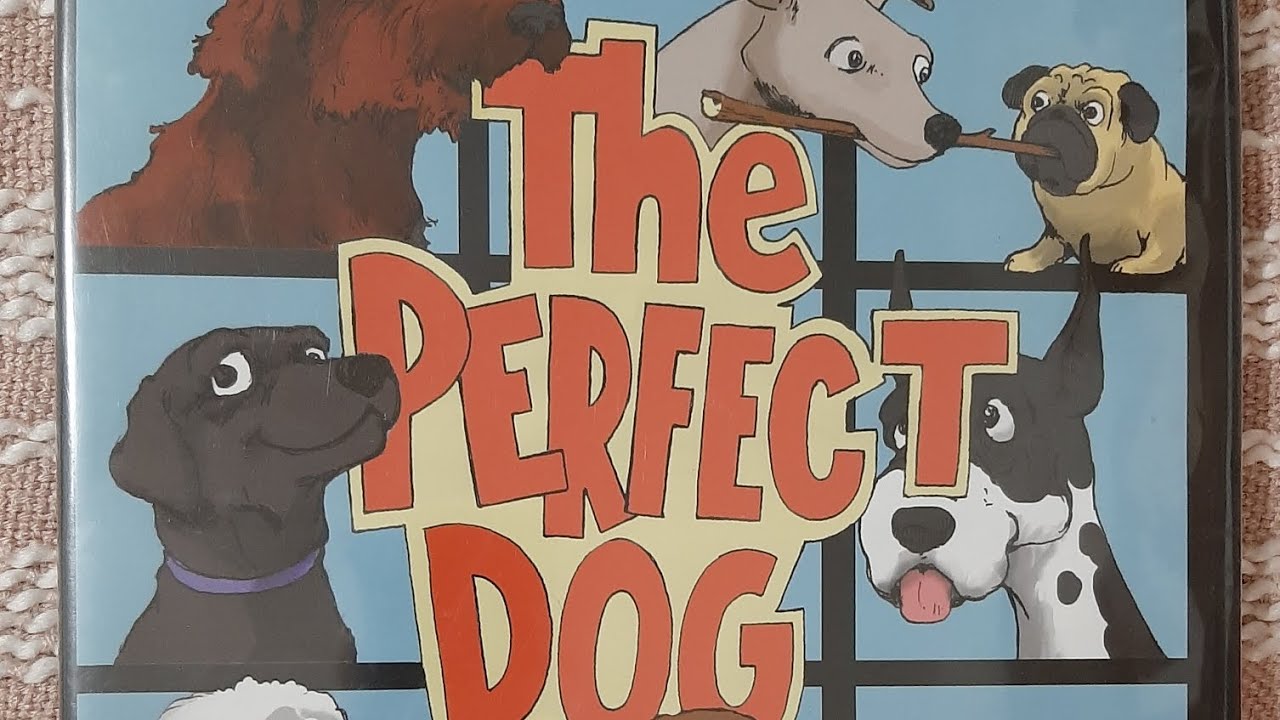 The Perfect Dog - YouTube
