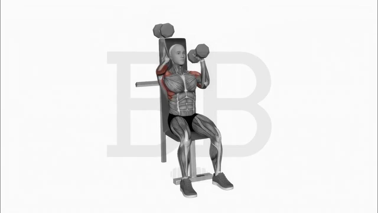 Dumbbell Alternating Seated Shoulder Press - Neutral Grip (SHOULDERS) - YouTube
